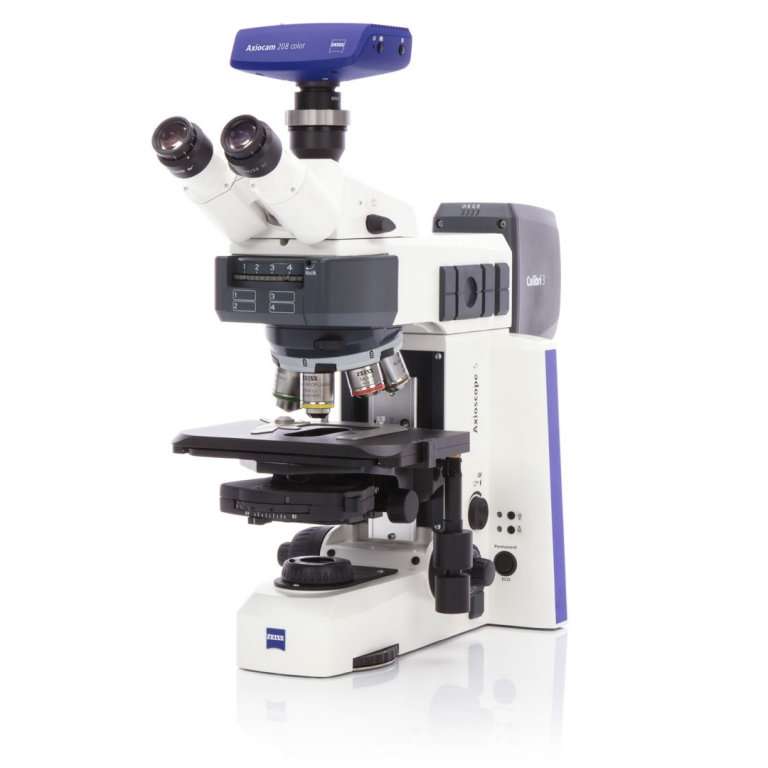 ZEISS Axioscope 5 Microscope | Indigo Scientific